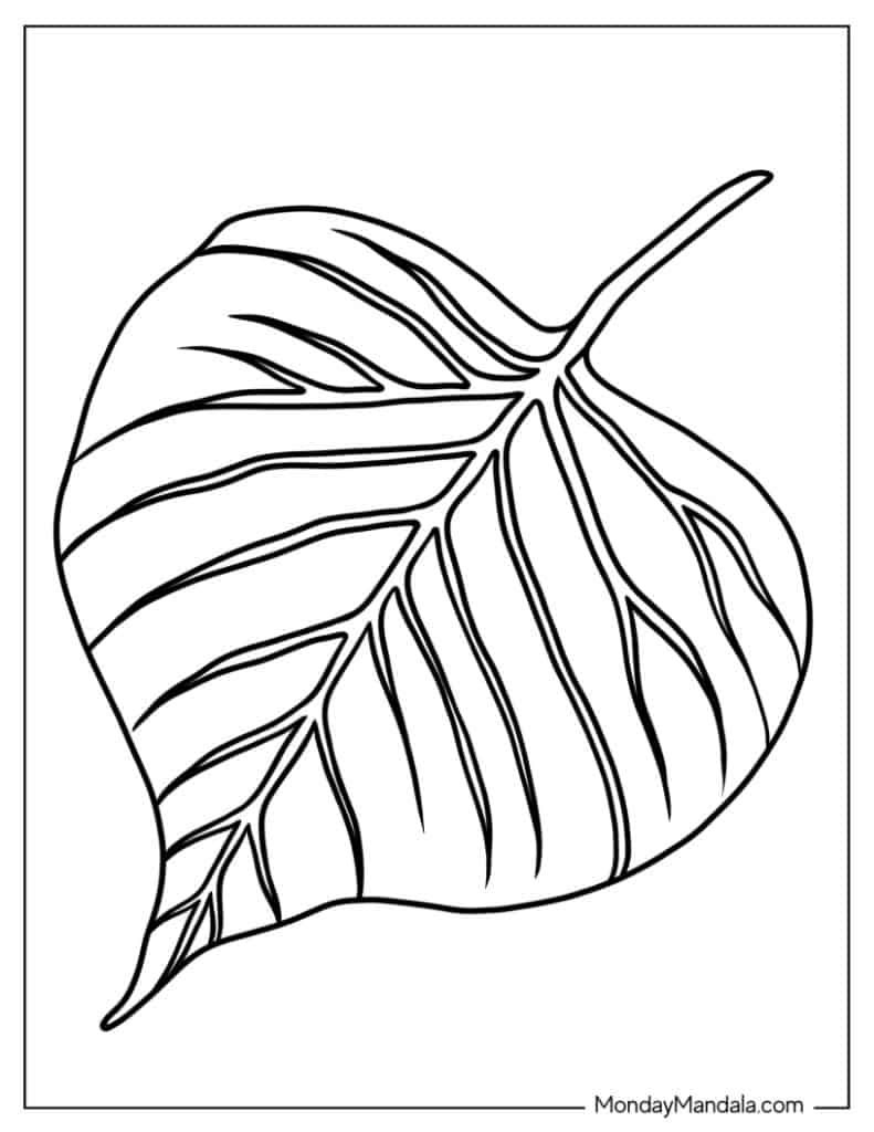 Large Aspen Leaf - Free Coloring Page Download | CrayonColoringPages